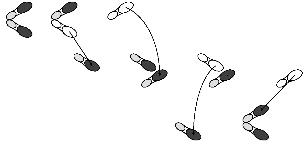 Fact: Our flight attendants can dance - Alaska Airlines, Hawaiian ...