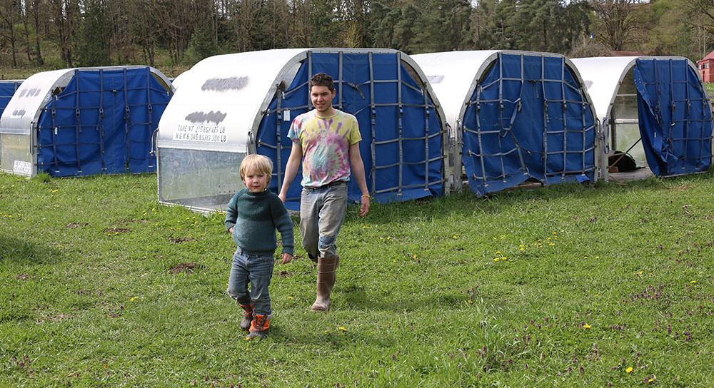 Cargo ‘igloos’ have new life as livestock houses, garden storage ...