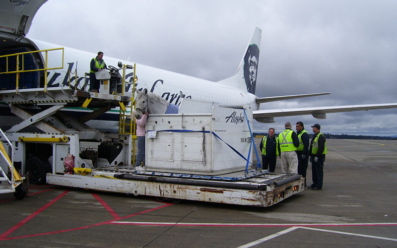 The end of an era: Alaska retires unique cargo-passenger ‘combi’ planes ...