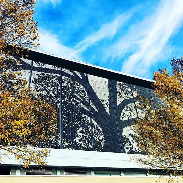 Local Wanderer: Raleigh, North Carolina - Alaska Airlines, Hawaiian ...