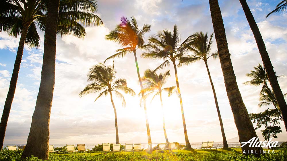 Looking for a change of scenery? Download our destination Zoom ...