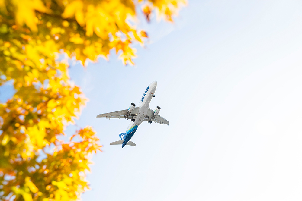 8 places to fly this fall to enjoy (safe) seasonal favorites - Alaska ...