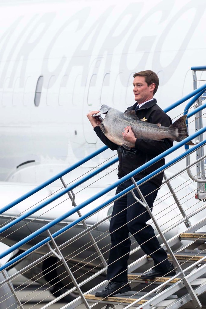 Alaska Air Cargo delivers season’s first Copper River Salmon to Seattle ...
