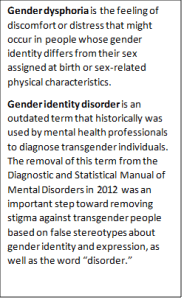 Trailblazing trans pilot Jessica helps ensure transgender pilots soar ...