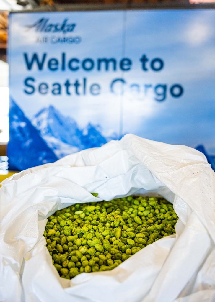 From up top to the tap: Alaska Airlines pulls off ultimate beer run in ...