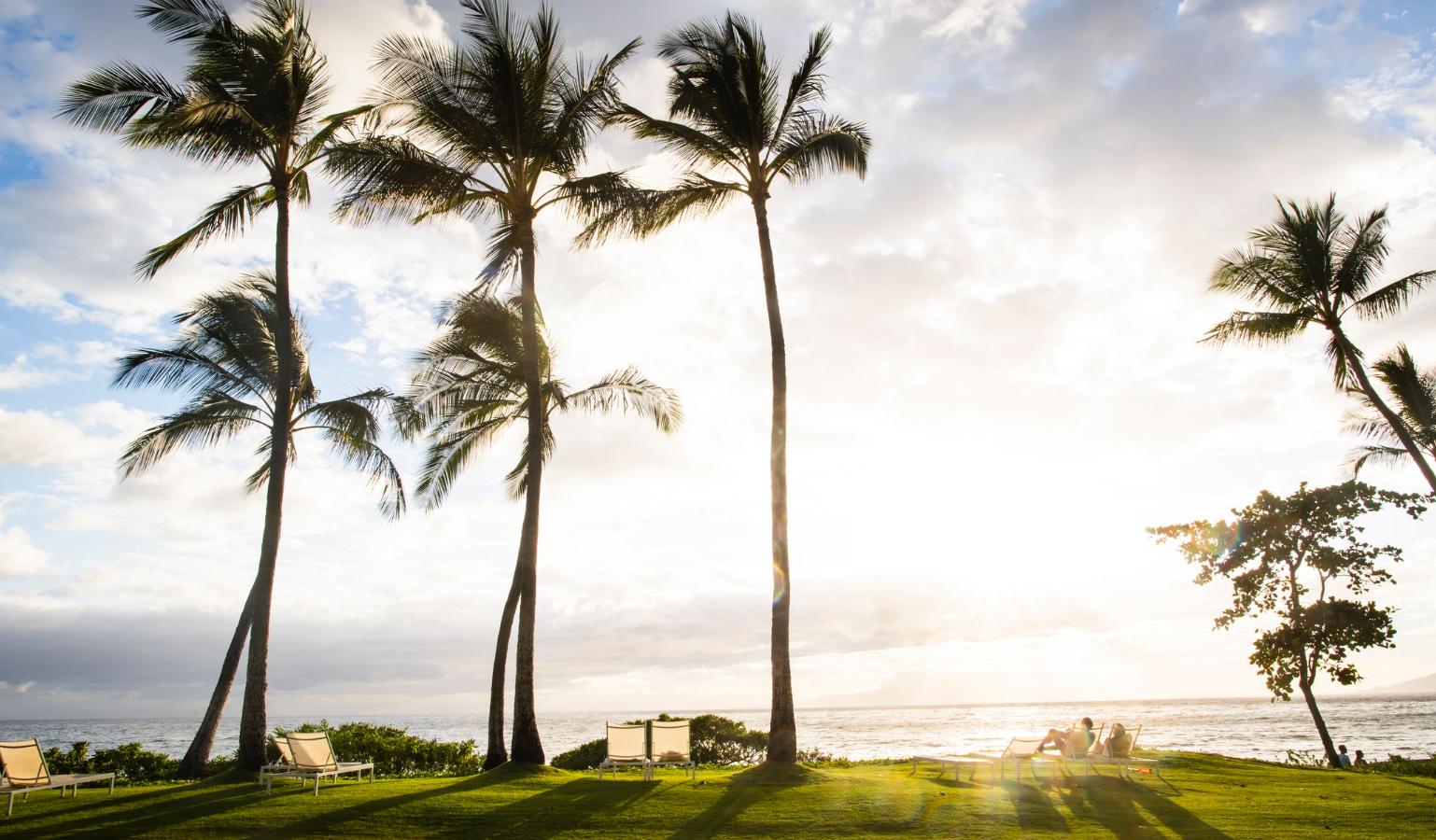 Support local businesses as Maui recovers - Alaska Airlines, Hawaiian ...