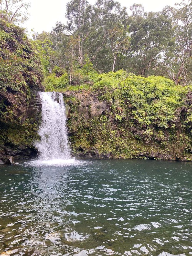 From office to the beach: How I flew to Maui on day one as an Alaska ...