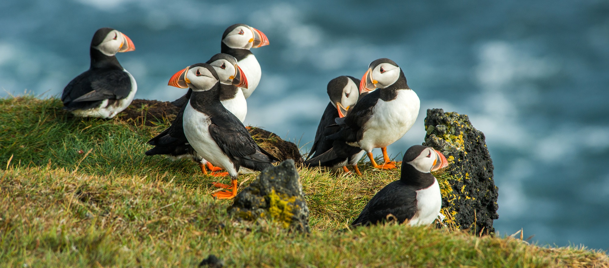 Iceland is calling: Alaska Airlines launches new route to Reykjavík and ...